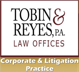 David S. Tobin - Boca Raton, FL Attorney